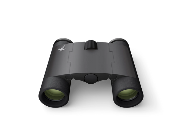 CL Curio 7x21 - TTOT Limited